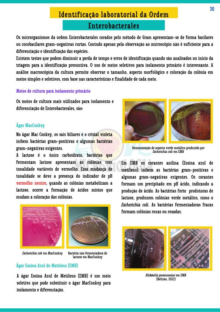LoveMicrobiologia – Love Microbiologia